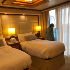 Suite R731 on Royal Princess, Category V6